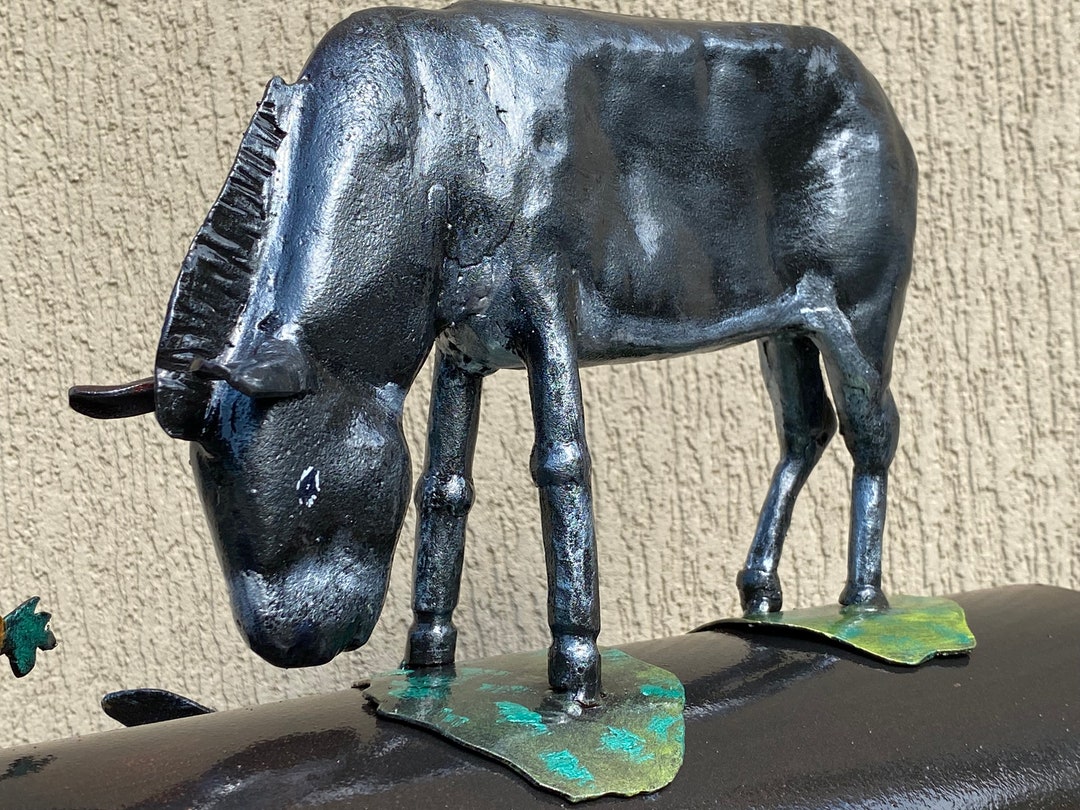 Donkey, Animal, Farm, Christmas, Anniversary, Birthday, Zoo, Wild Life ...