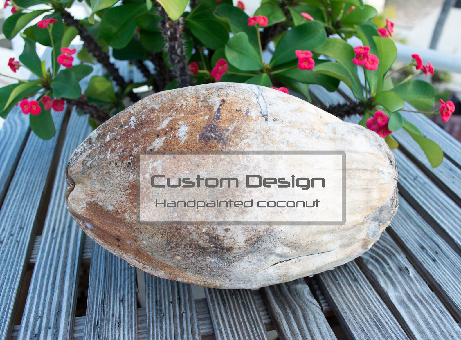 Personalized Custom Hand Painted Coconut -original Artwork by Mj-unique ...