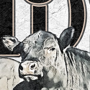 Black Angus Personalized Sign | Family Name Farmhouse Sign | Farmhouse ...