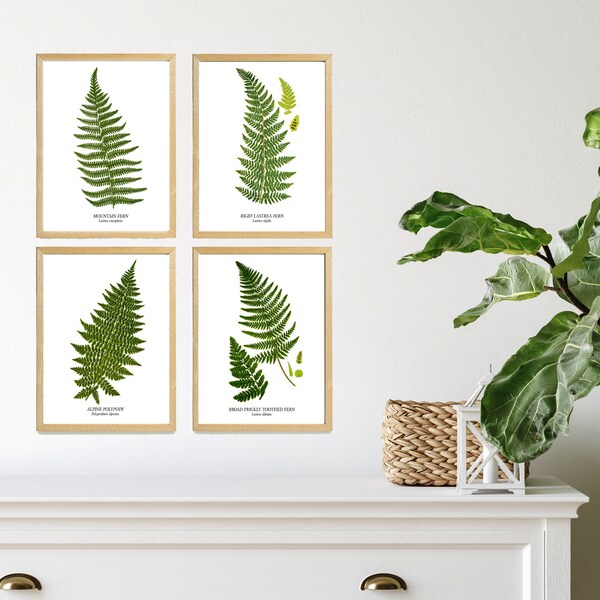Fern Wall Art - Etsy