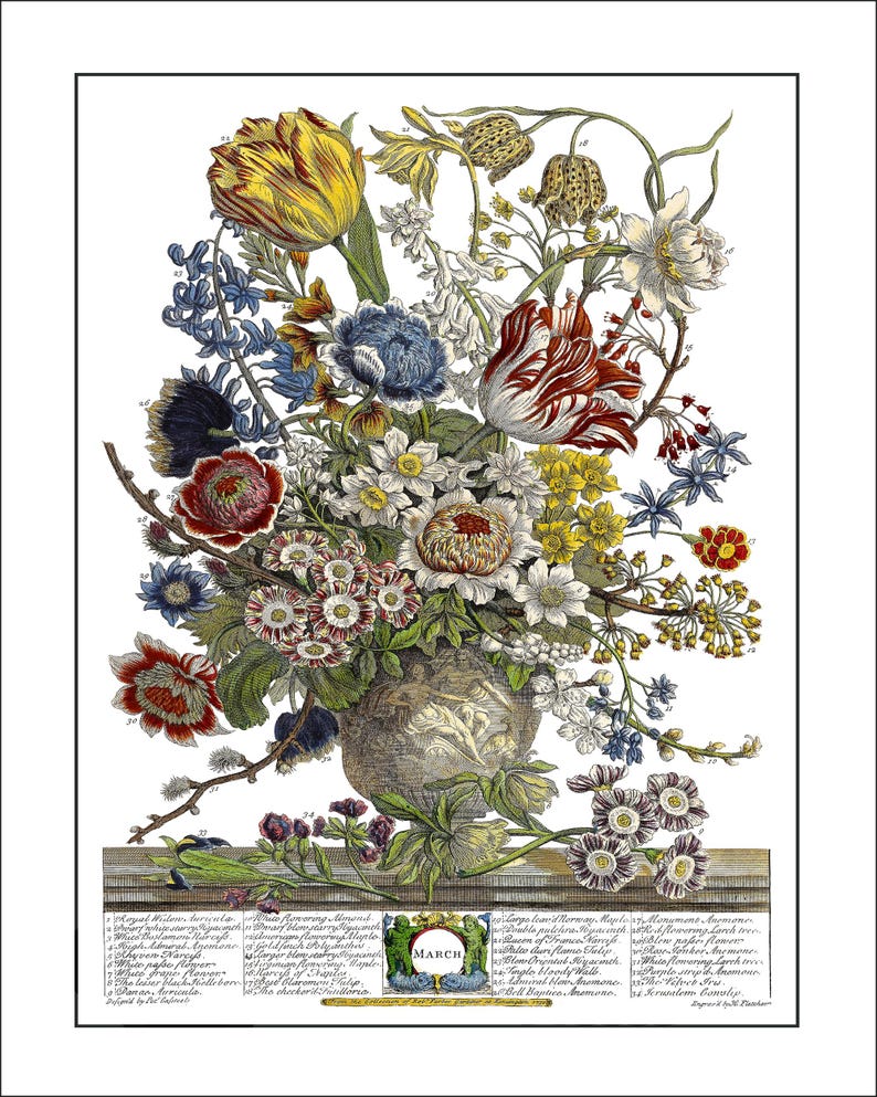Robert Furber Floral Art Prints - Select Your Prints! Enter Selections ...