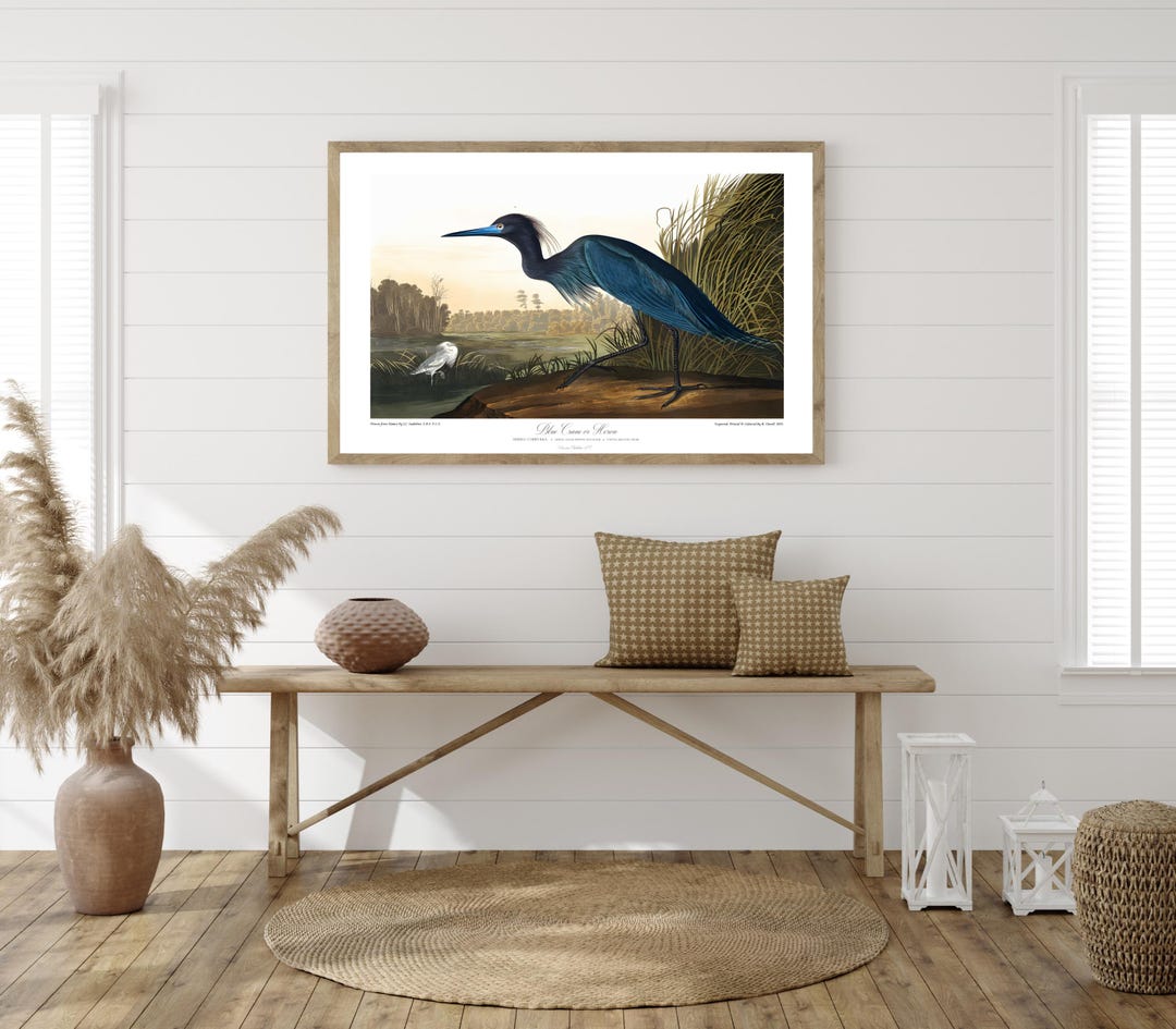 Large Bird Print. Vintage Restored Wall Art. BLUE CRANE or HERON. Four ...