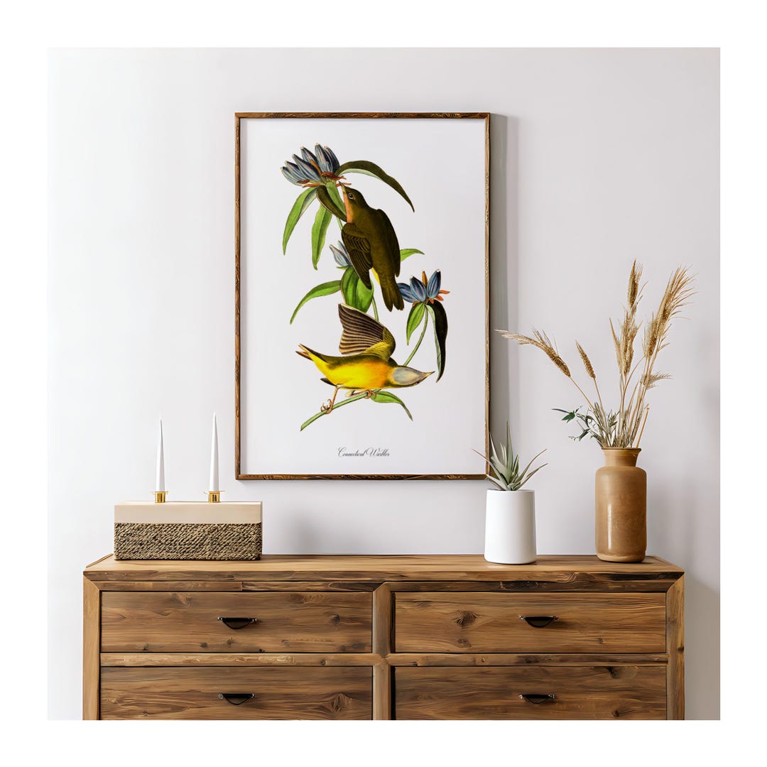 Connecticut Warbler Print - Restored Vintage Audubon Bird Art - Etsy