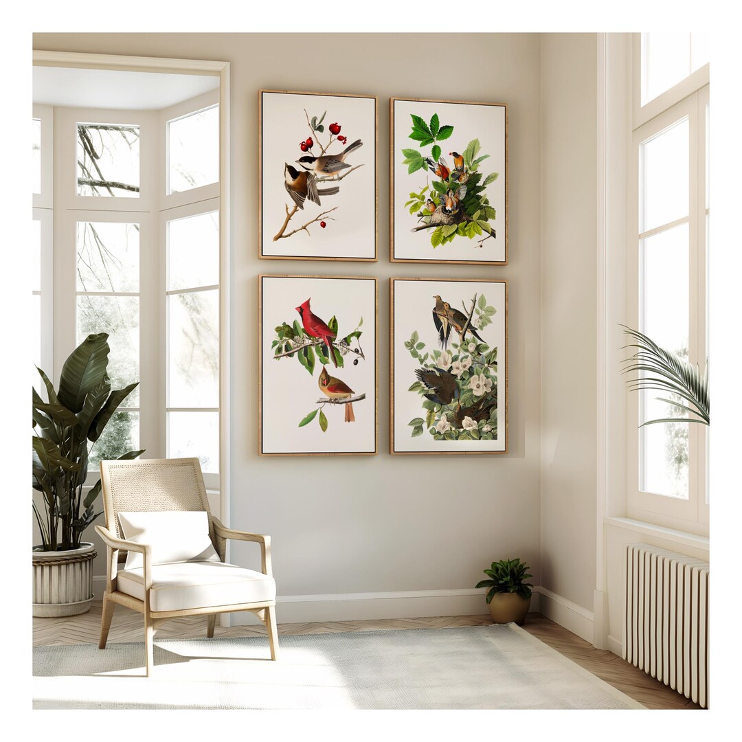 Beautifully Restored Vintage Bird Prints - Birds of America. Unique ...