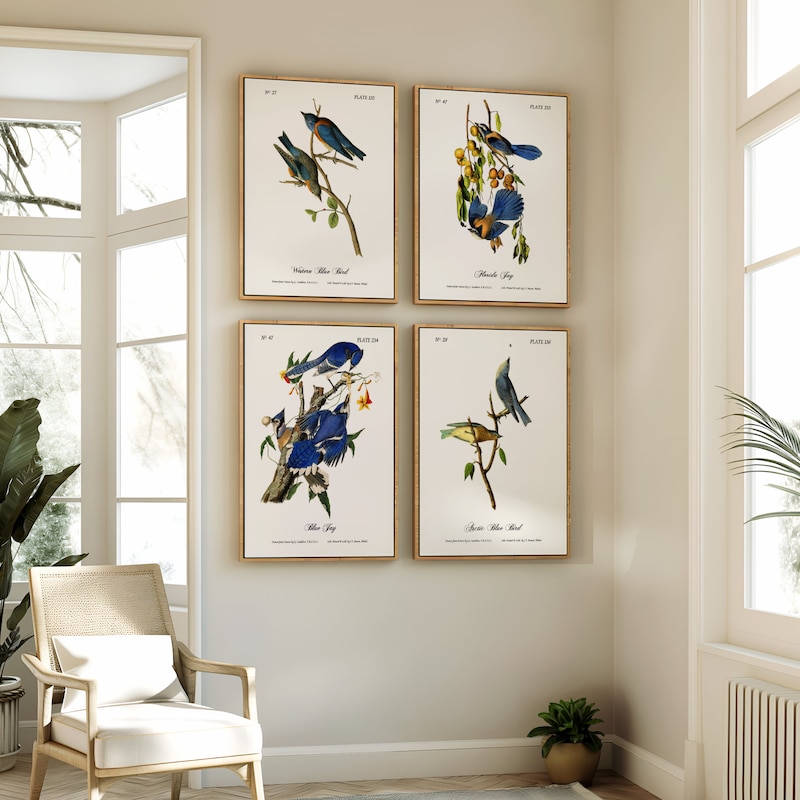 Audubon Prints - Etsy