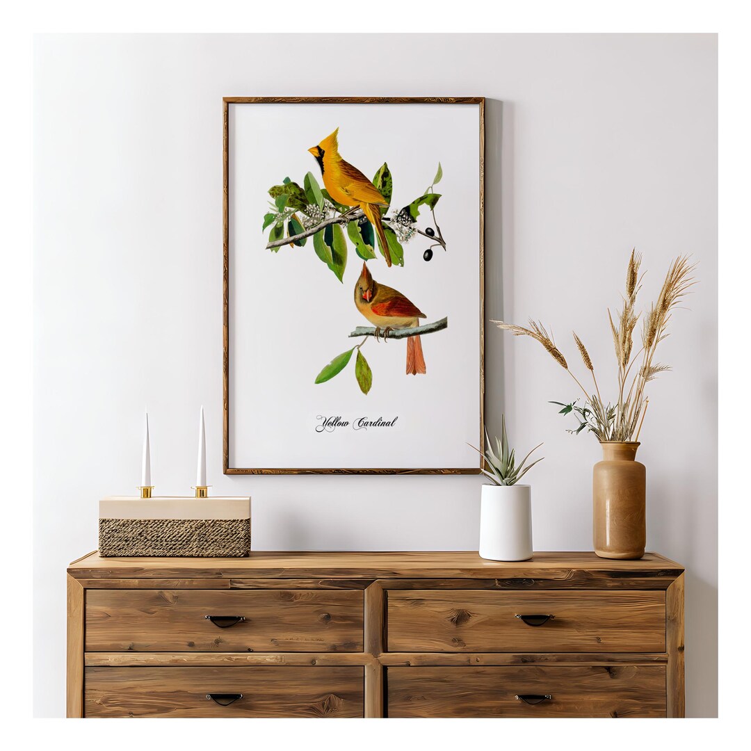 Yellow Cardinal Bird Print. Vintage Restored. Giclee Fine Art Printing ...