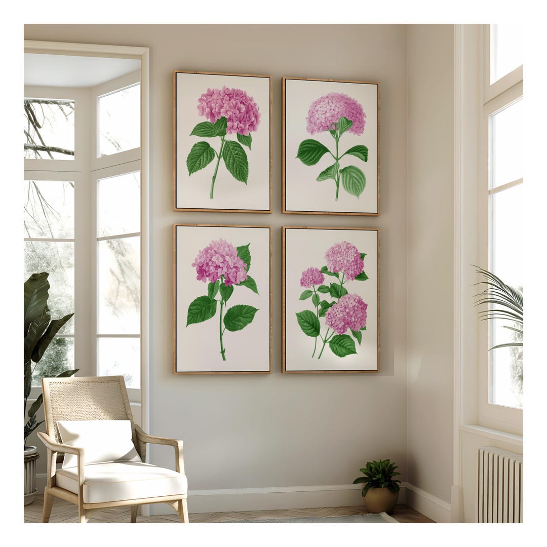 Pink Hydrangea Prints. Set of Four Vintage, Restored, Pink Flowers ...