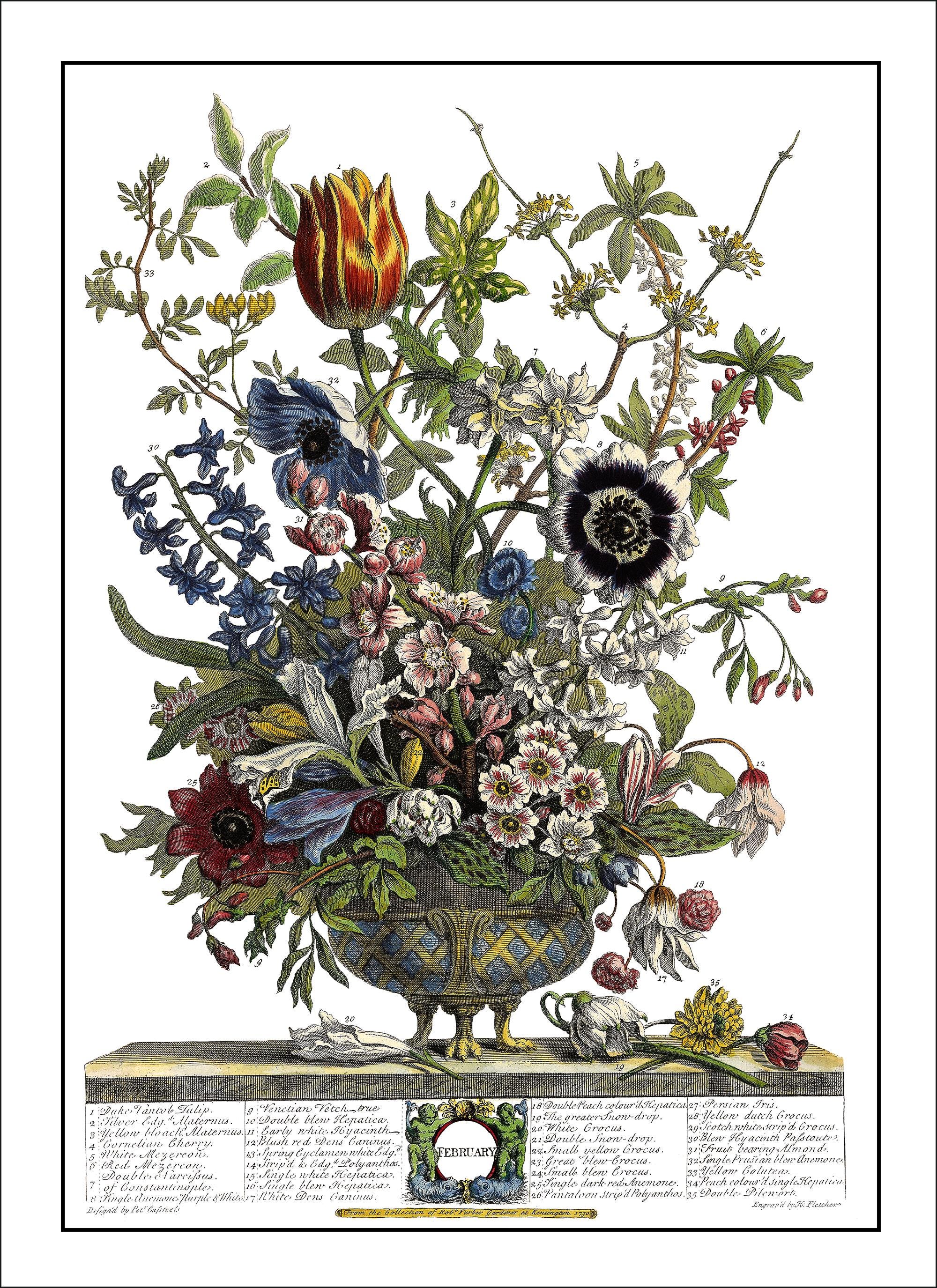 Robert Furber Floral Art Prints - Select Your Prints! Enter Selections ...