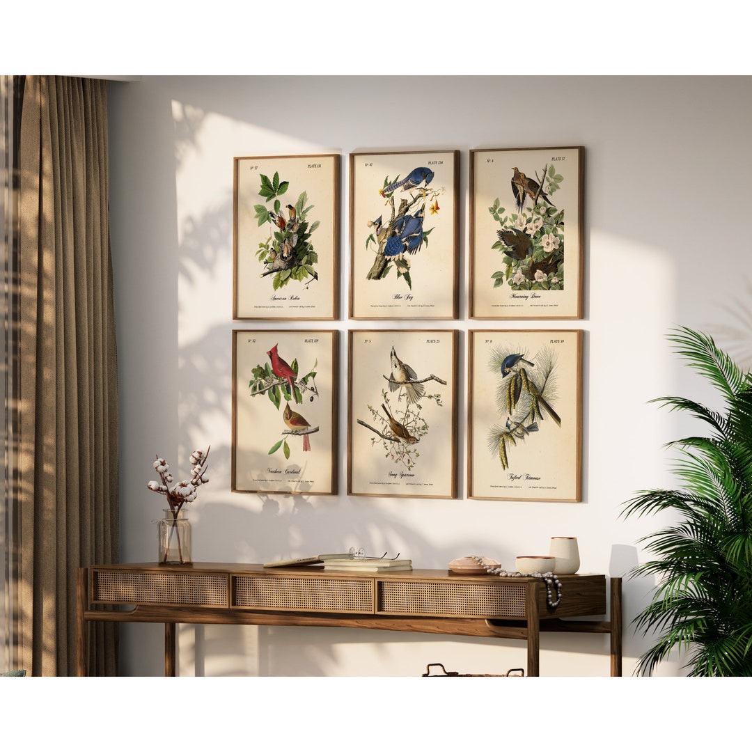 Beautiful Vintage Audubon Bird Prints - Unique Wall Decor for Nature ...