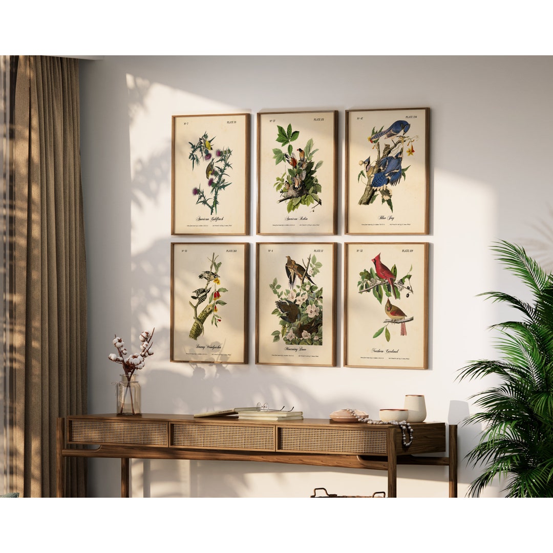 Beautiful Vintage Audubon Bird Prints - Unique Wall Decor for Nature ...