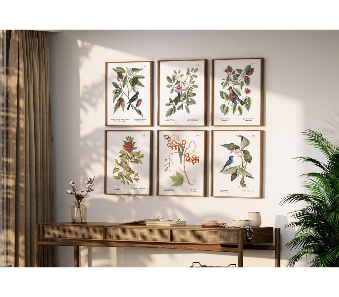 Beautifully Restored Vintage Bird Prints - Mark Catesby Birds. Unique ...