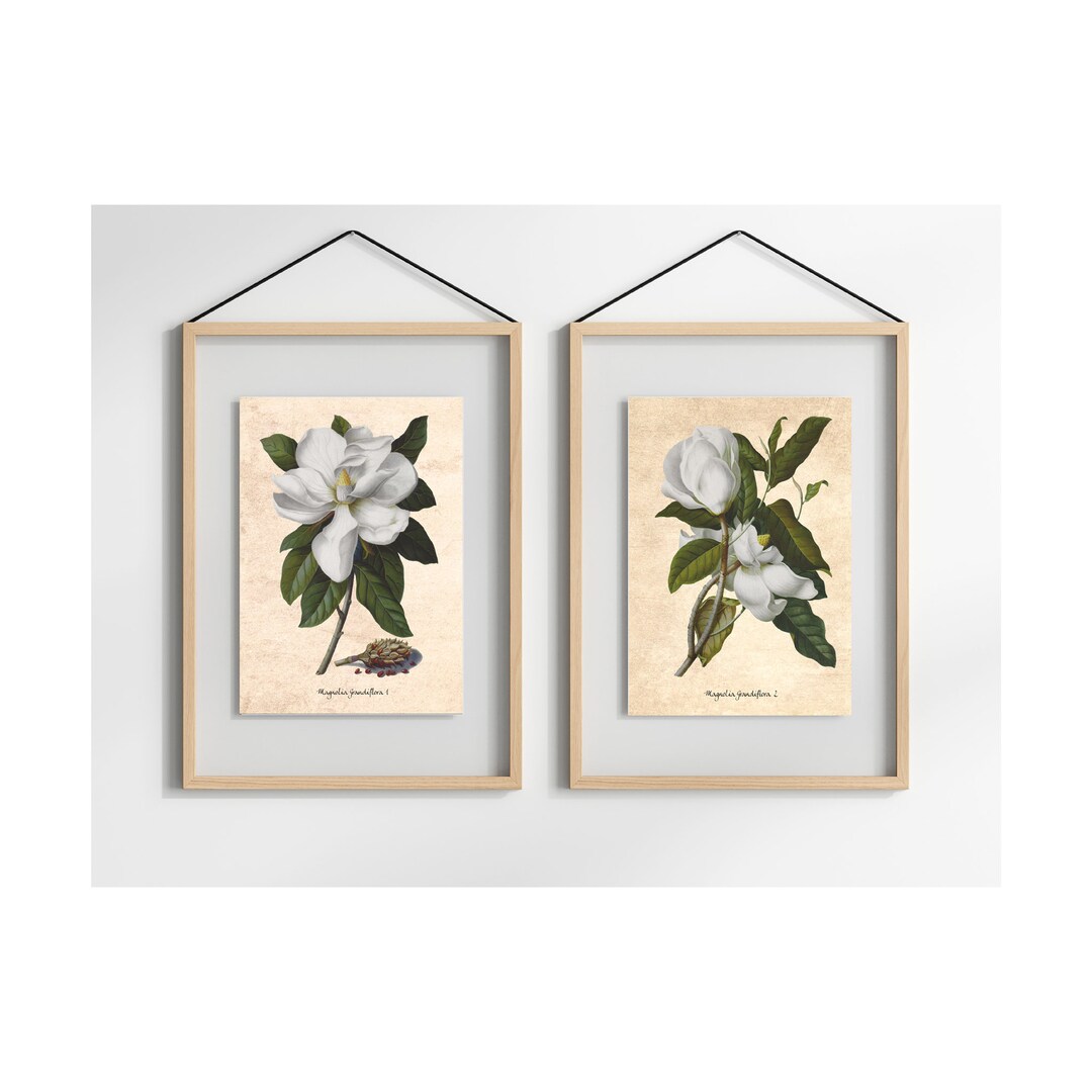 FLORAL ART PRINTS. Magnolias. Set of Two Prints. Choose From Two Styles. Vintage Background or ...