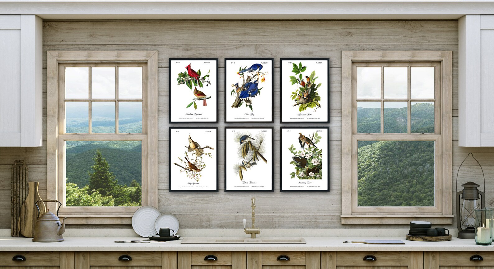 Audubon Prints. Birds of WEST VIRGINIA. Set of Six Bird Wall - Etsy