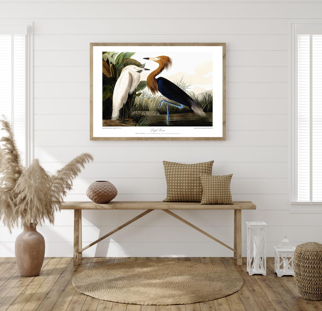 Large Bird Print. Vintage Restored Wall Art. PURPLE HERON. Four Prints ...