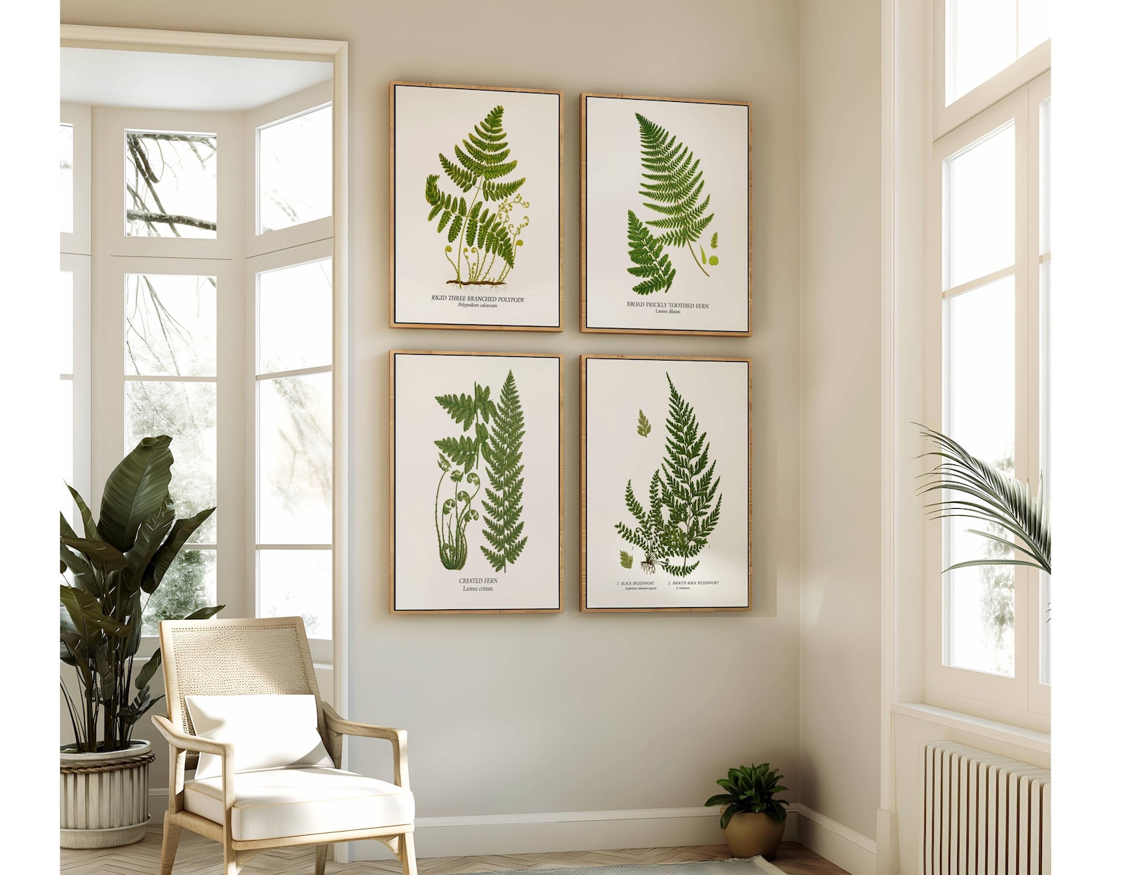 Vintage Fern Botanical Prints – Set of Four Restored Wall Art (three ...