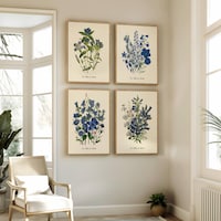 Australian Native Plants Poster DIGITAL DOWNLOAD - Etsy Canada