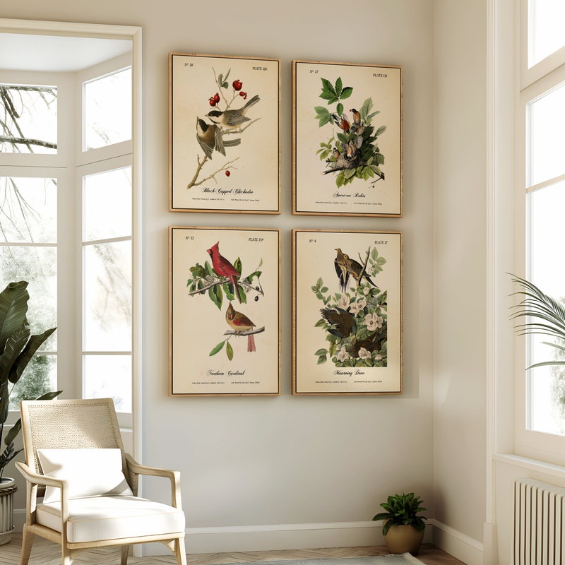 Audubon Prints - Etsy
