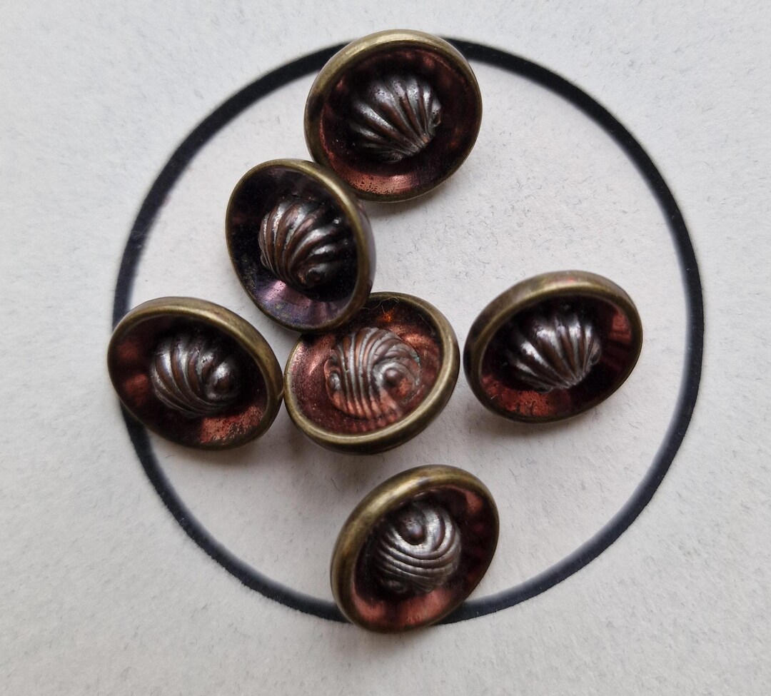 6 Delightful Little Copper Tinted Steel Cup Buttons With Clam Shells. 1 ...