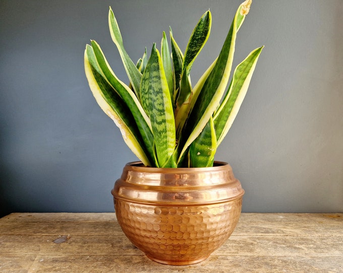 French Copper Planter. Copper Jardinaire. French Copper Plant Holder ...