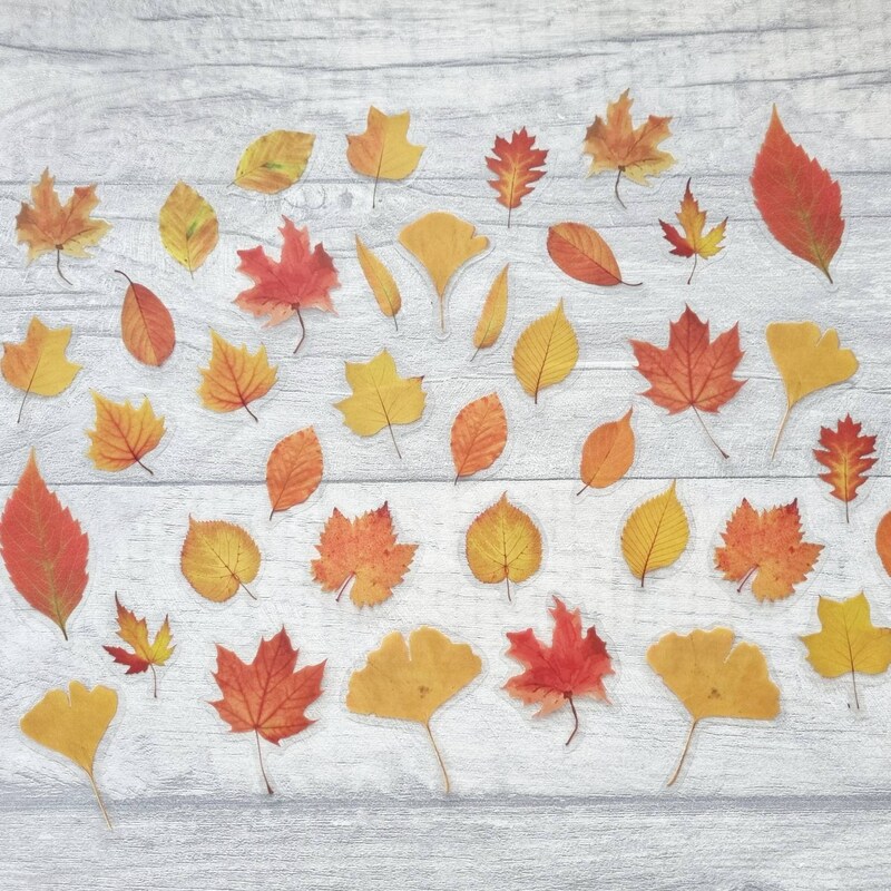 Bullet Resin Molds - Etsy