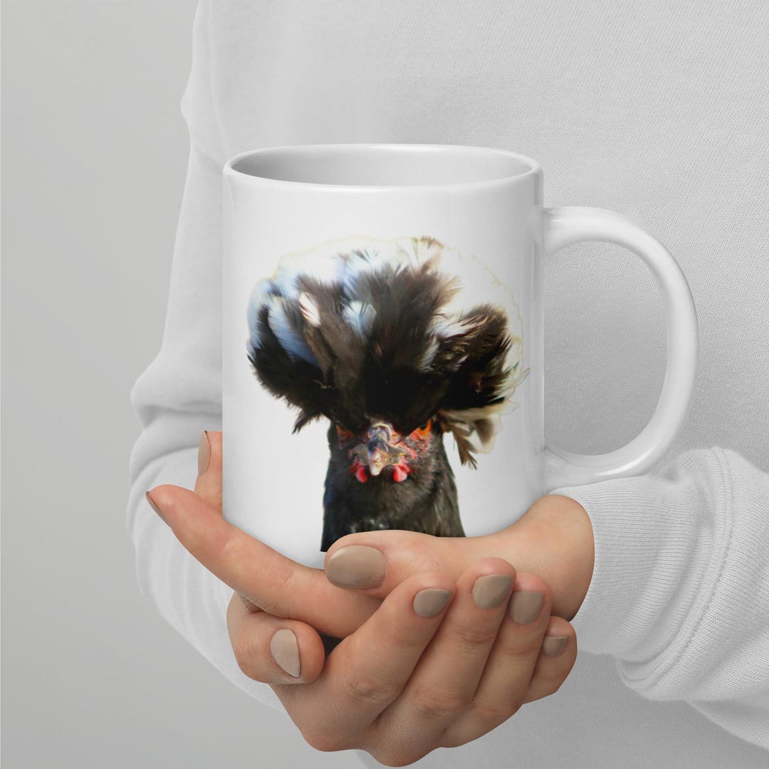 Crazy Chicken Einstein Chicken Chicken Mug Funny Mug Humorous Mug White ...