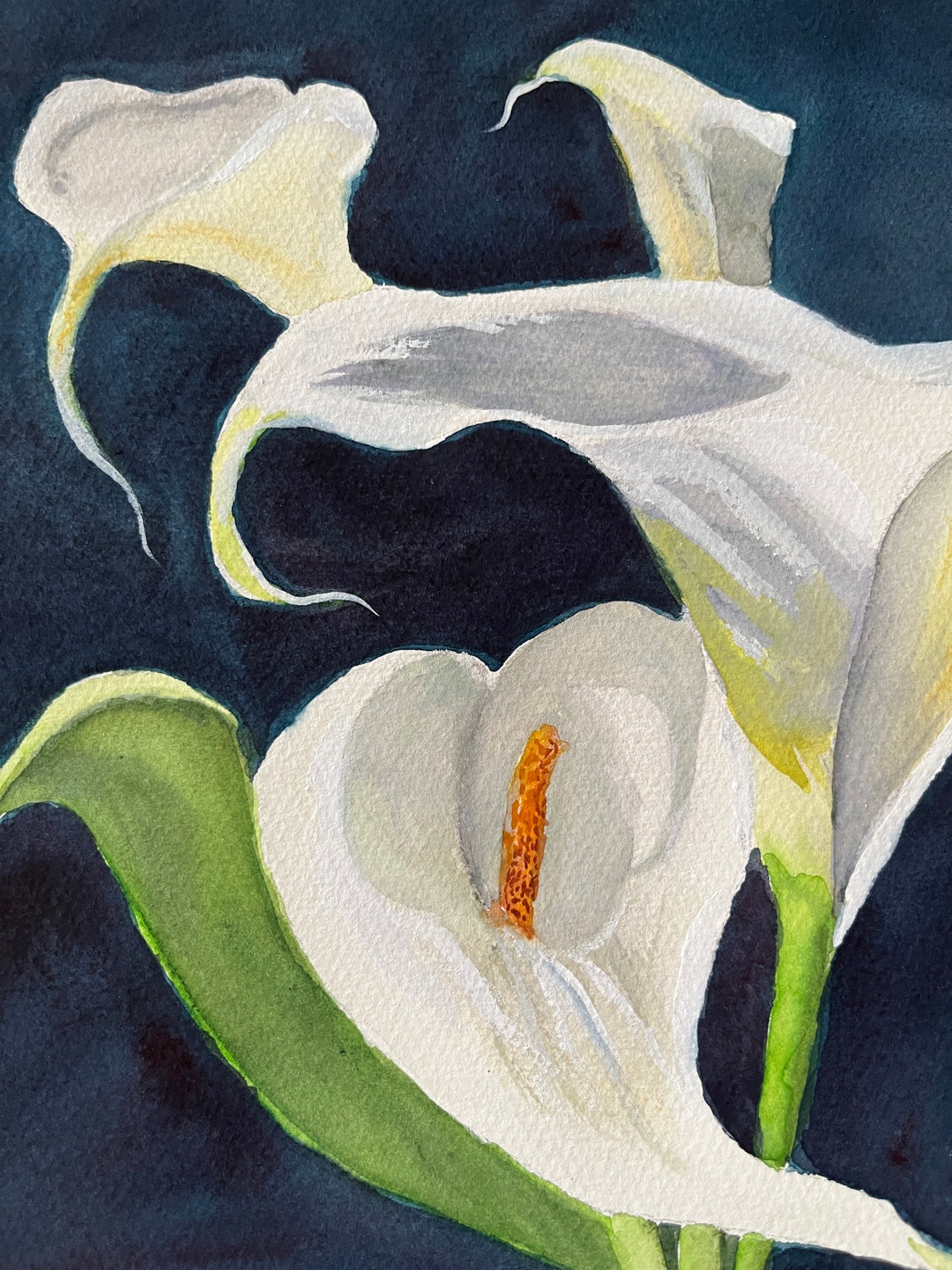 Calla Lily Watercolor, Floral Watercolor Calla Lily, Calla Lily ...