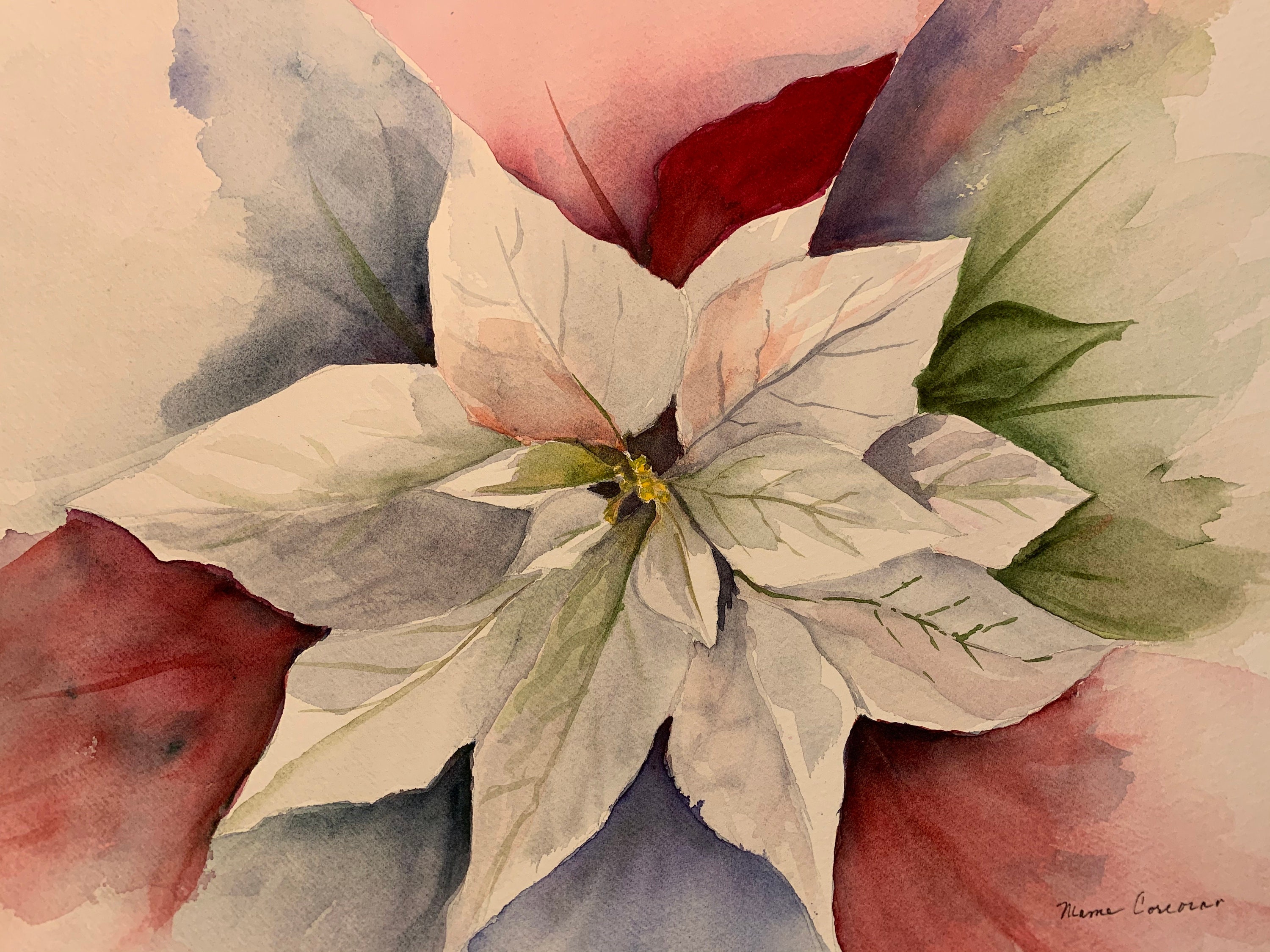 Poinsettia Watercolor Painting