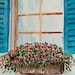 Window Box Floral Watercolor Painting, Watercolor Window Box Wall Art ...