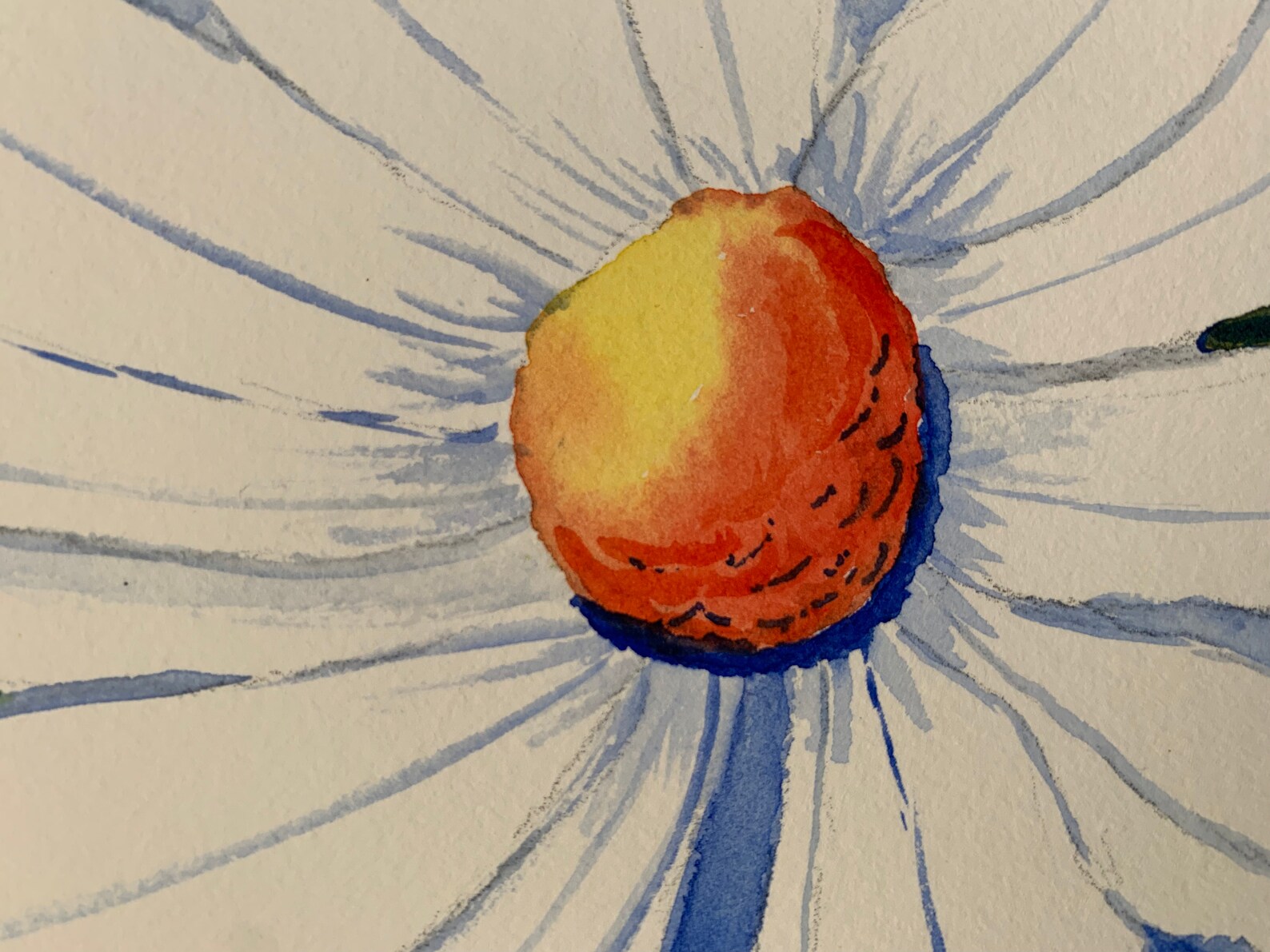 Watercolor Gerbera Daisy Painting, Macro Daisy Watercolor Wall Art ...