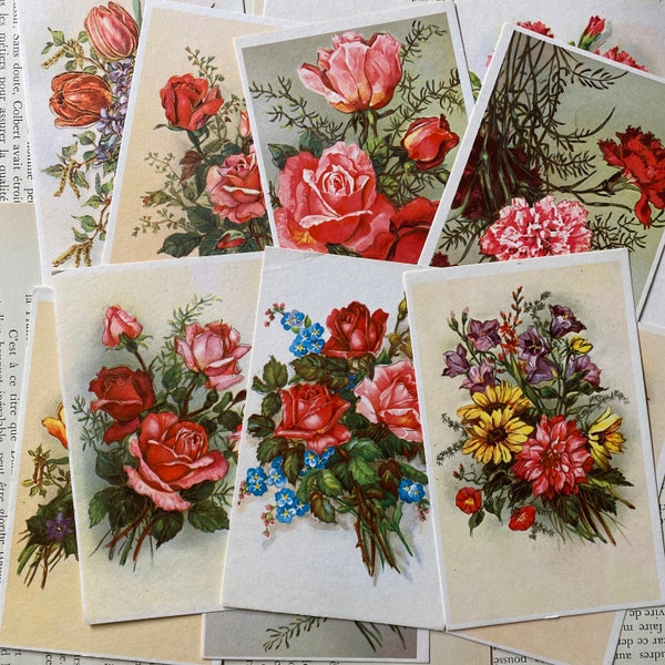Flower Postcards - Etsy