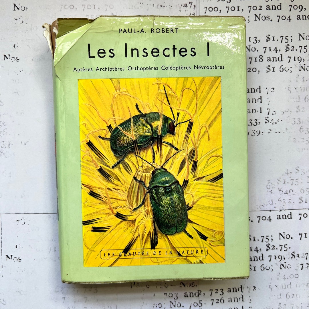 Vintage Book About Insects. French 1960 Beauty of Nature - Etsy