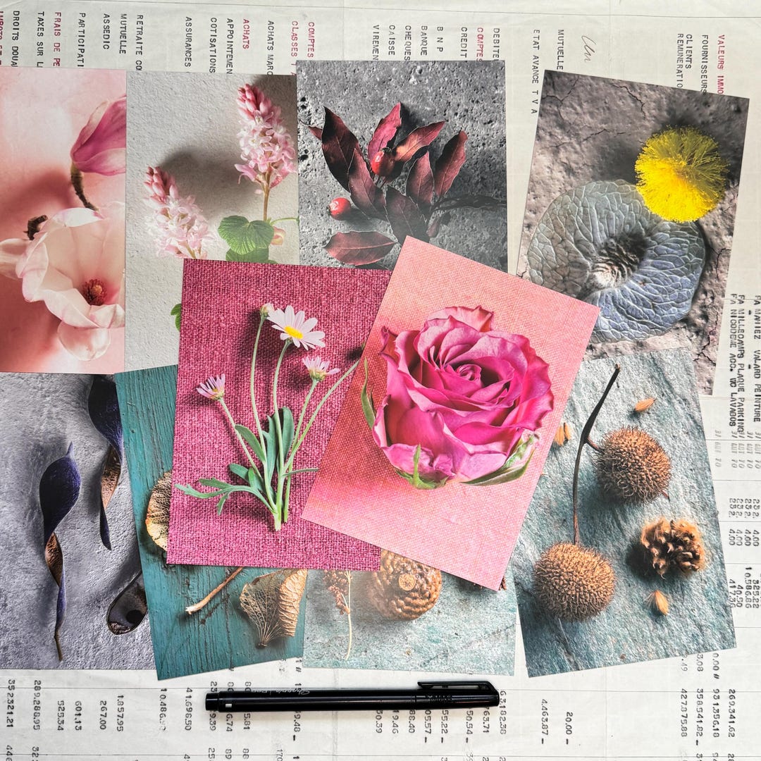 Flower Postcards. Set of 10 - Etsy
