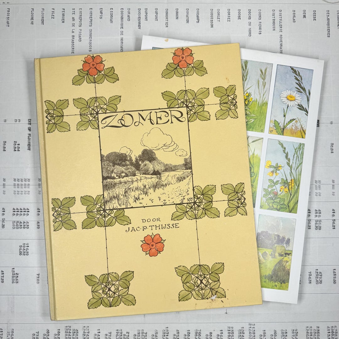 Verkade SUMMER Album - Collector Cards 144 Pcs. 1997 Edition With ...