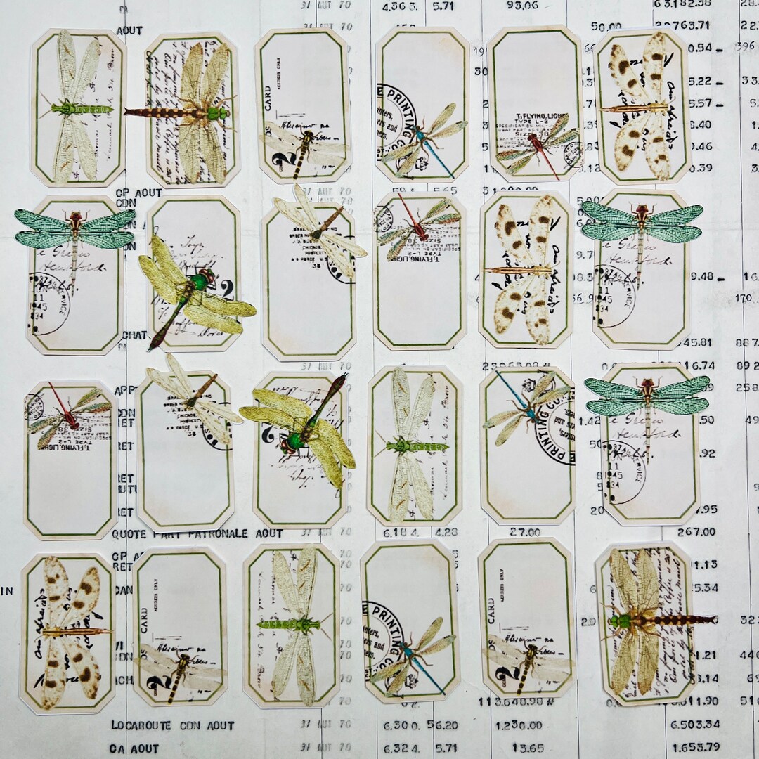 Dragonfly Label Stickers. Botanical, Insects, Labels Vintage Inspired ...