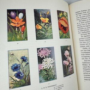 Verkade Flowers in Our Garden Album Collector Cards 148 Pcs. 1926 ...