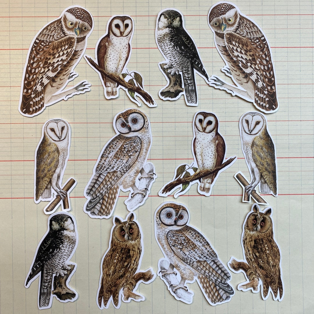 Owl Stickers - Pairs - Left and Right Oriented - Etsy