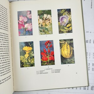 Verkade Flowers in Our Garden Album Collector Cards 148 Pcs. 1926 ...