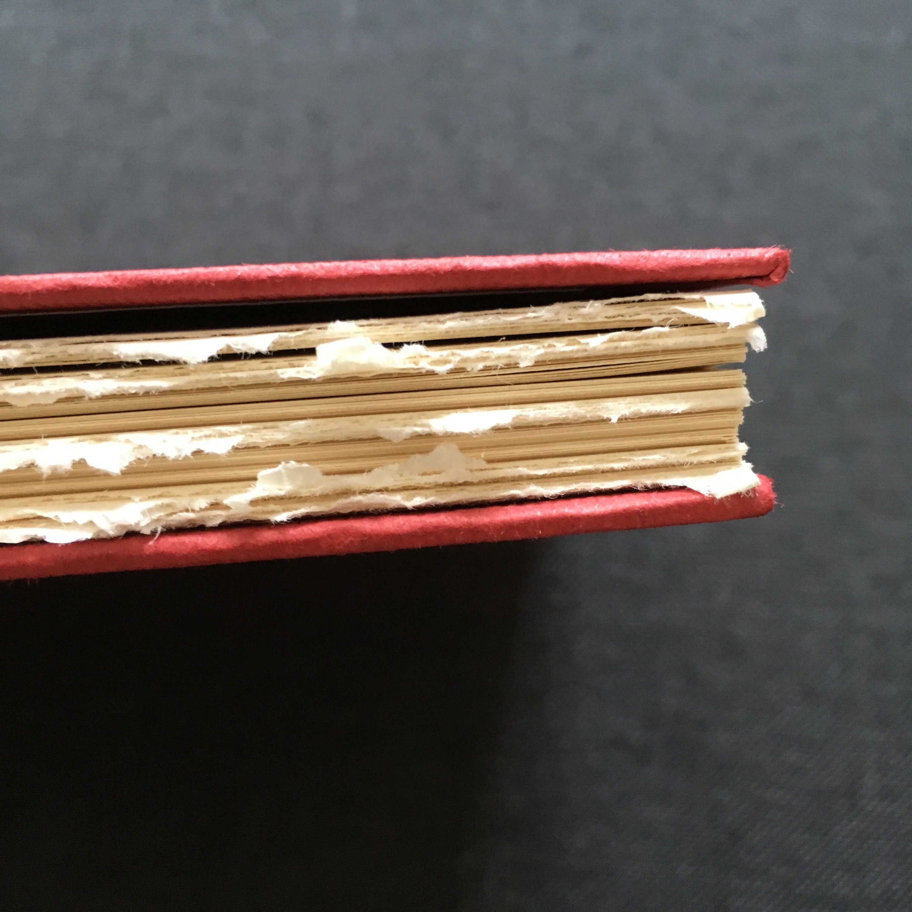 MADE TO ORDER Merlin Arthur Art Nouveau Style Journal | Etsy