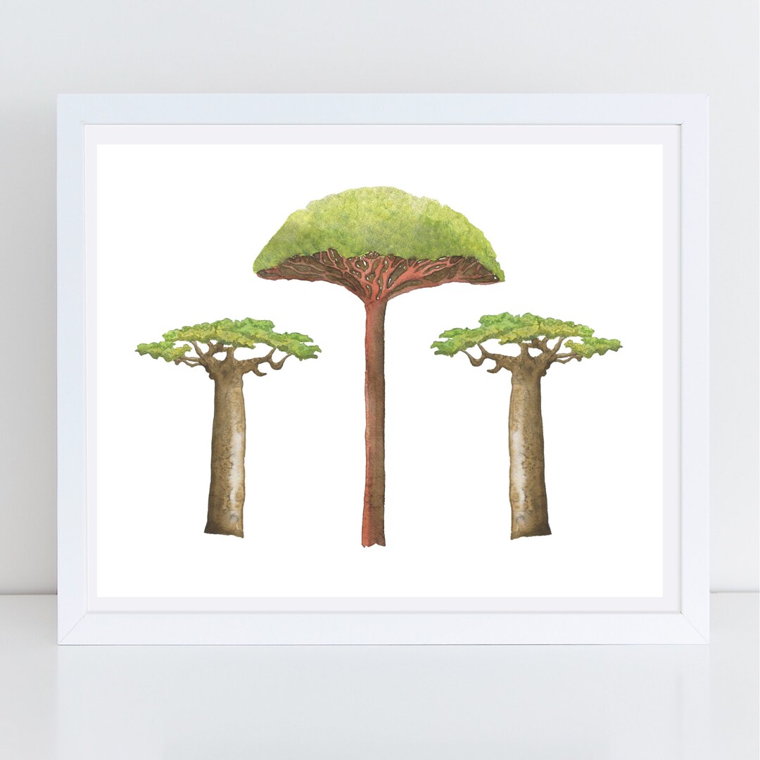 Tropical Rainforest Trees 8x10 Printable, Instant Download, Rainforest ...