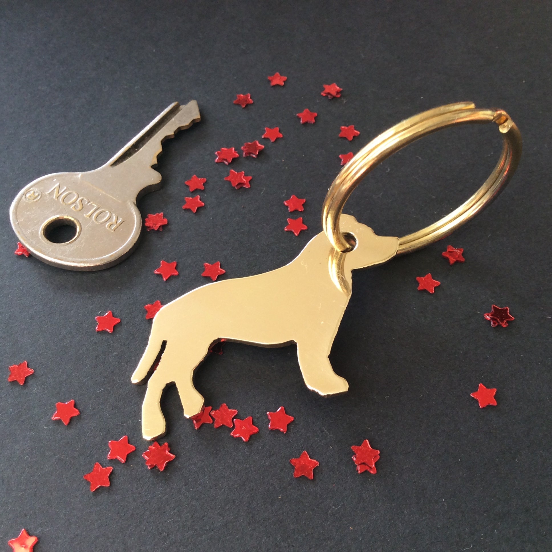 Staffordshire Bull Terrier Keyring Staffie Keyring staffie - Etsy France