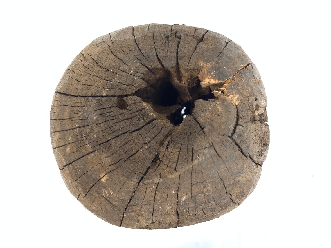 ANTIQUE Timor-leste 400mm Portuguese HEAD SCULPTURE Tribal - Etsy