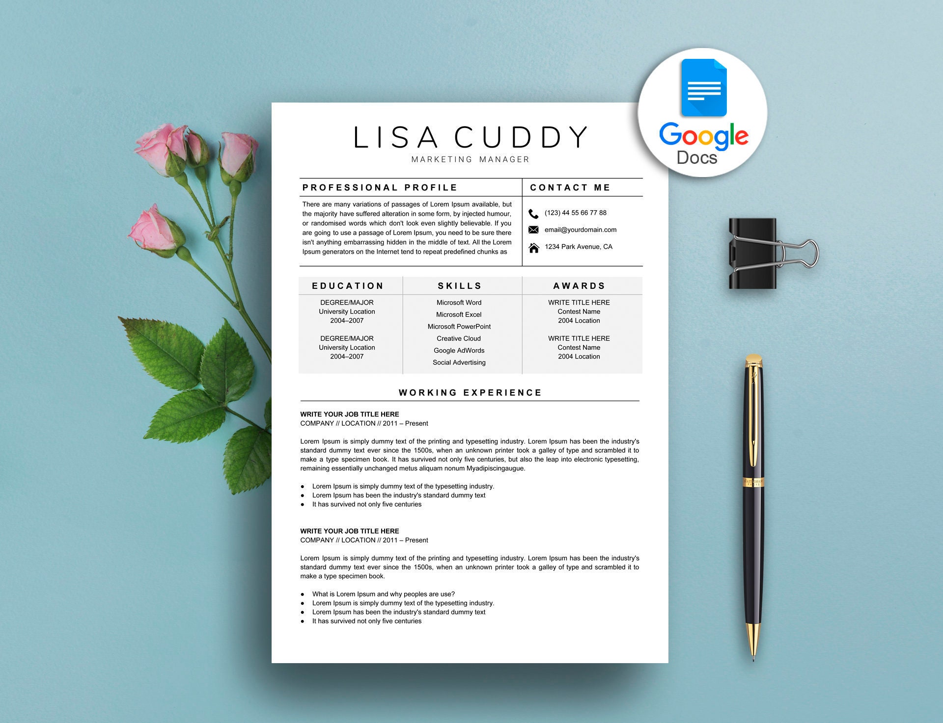 Google Docs Resume Template Professional Google Docs Resume - Etsy