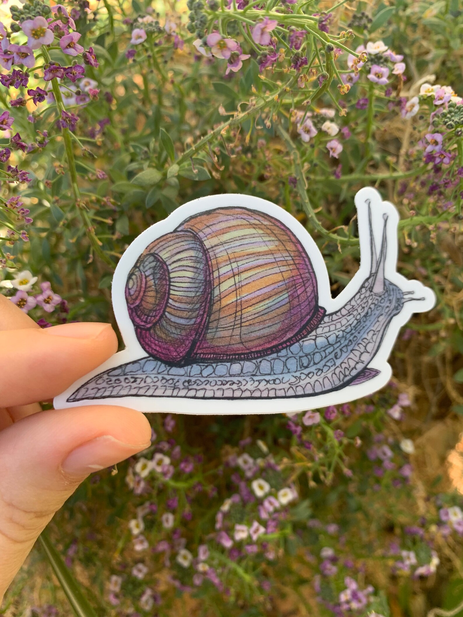 Snail sticker laptop sticker vinyl sticker waterproof | Etsy