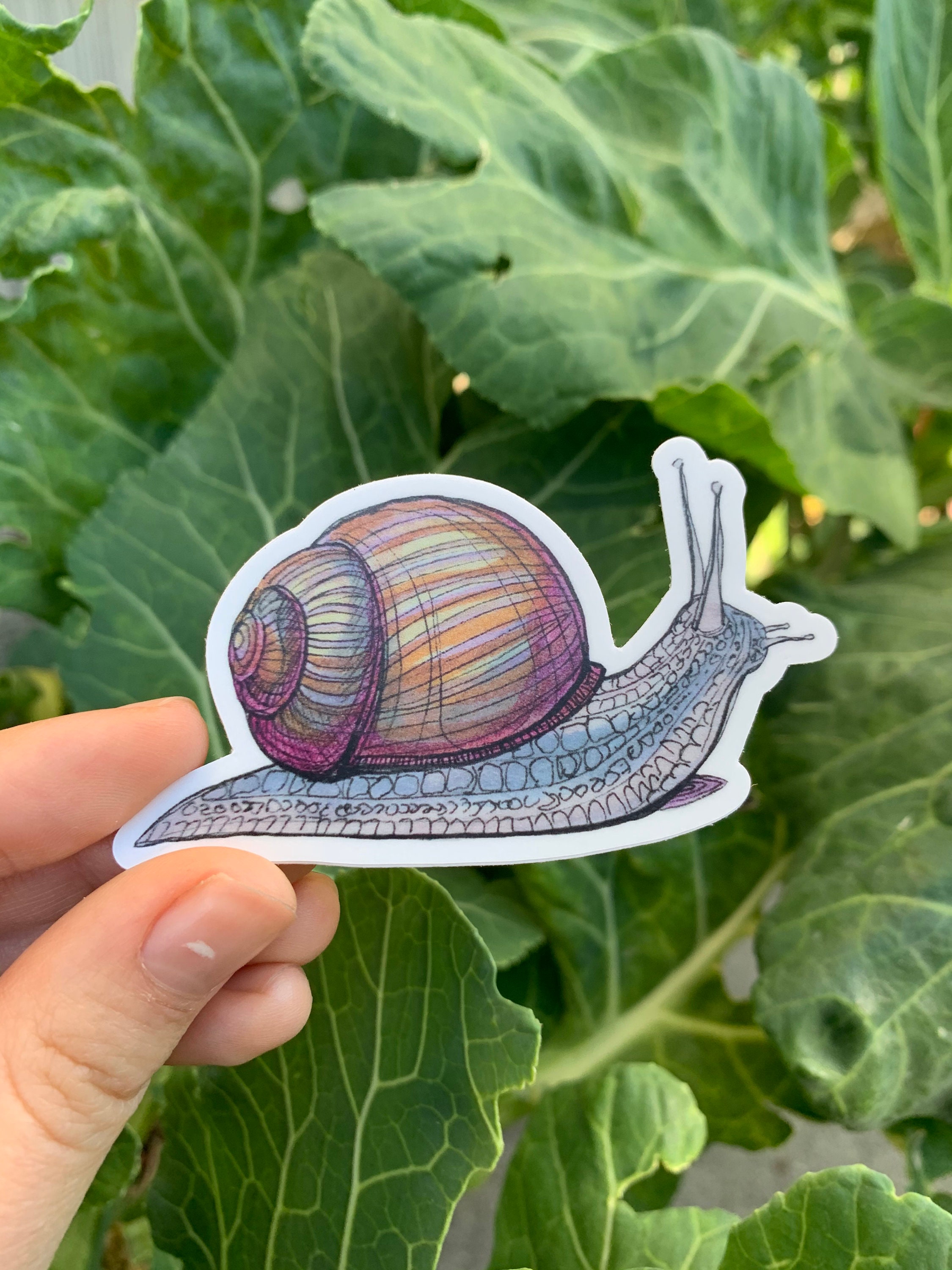 Snail sticker laptop sticker vinyl sticker waterproof | Etsy