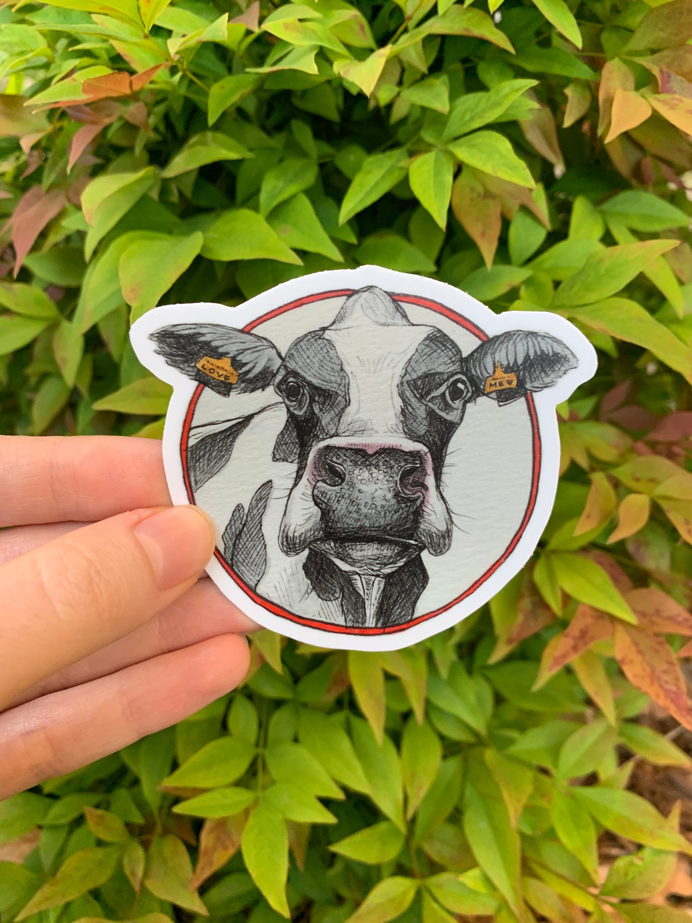 Cow Sticker Vegan Sticker Designs Vinyl Stickers Aesthetic - Etsy Singapore