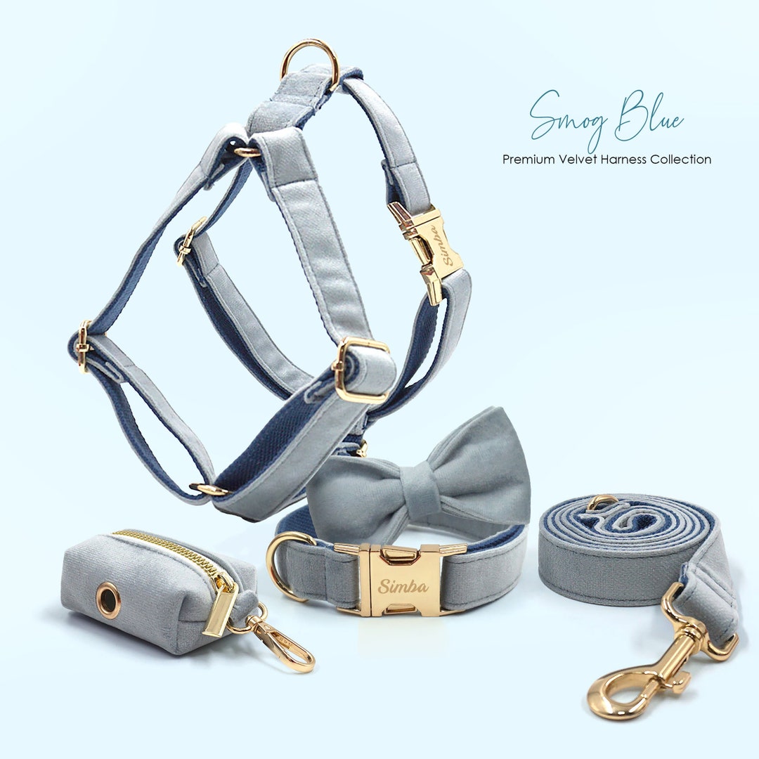 Custom Smog Blue Velvet Personalized Dog Collar, Matching Dog Bowtie ...