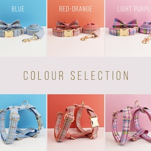 Custom Blue Plaid Dog Walking Set Personalized Dog Collar, Matching Dog ...