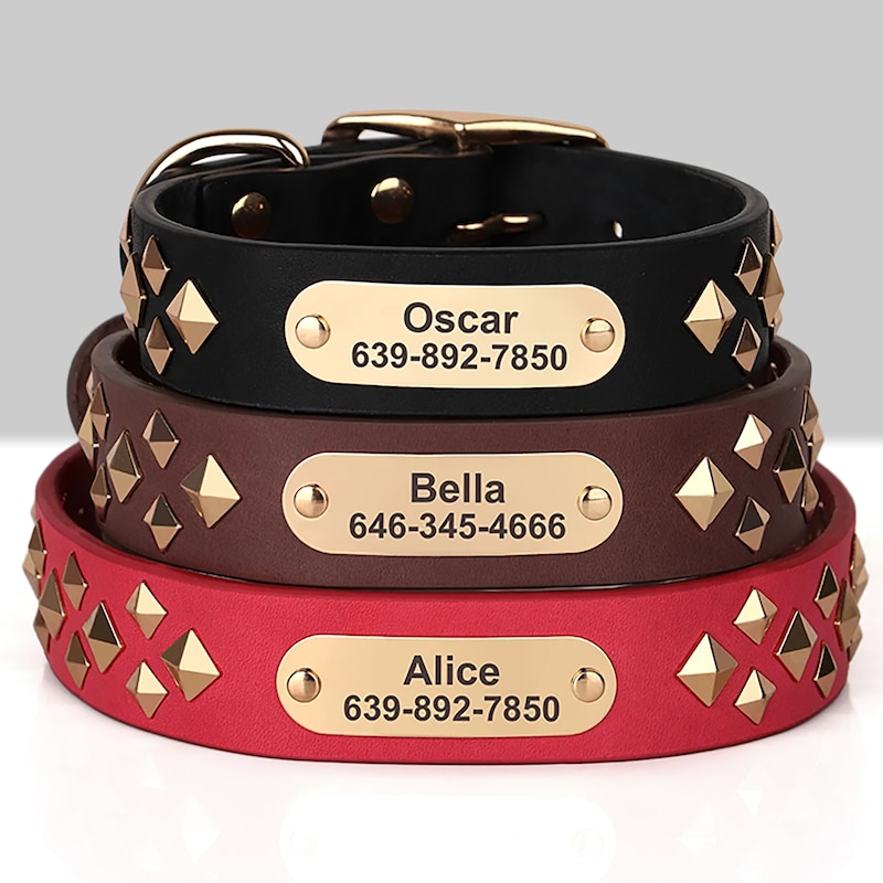 Spiked Dog Collar Biothane - Etsy UK