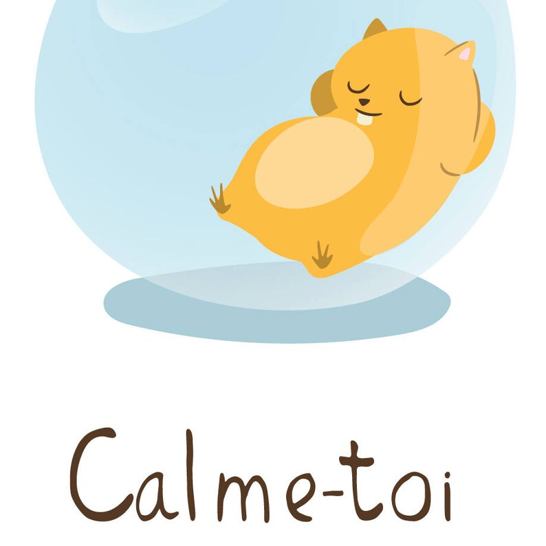 Affiche à télécharger Calme-toi le hamster Citation, illustration ...