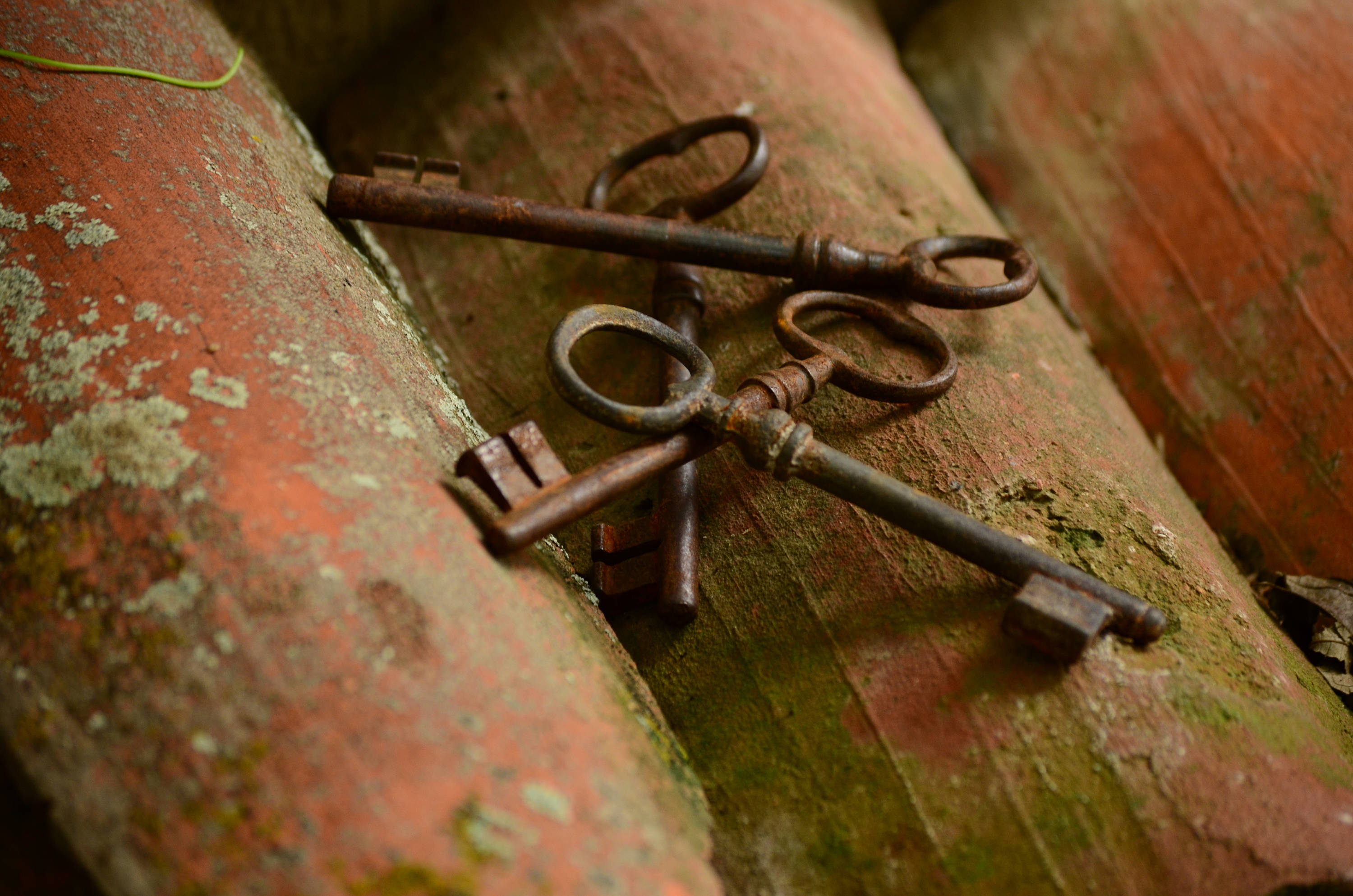 Vintage Keys,iron Skeleton Keys,collectible Keys,steampunk Supplies ...